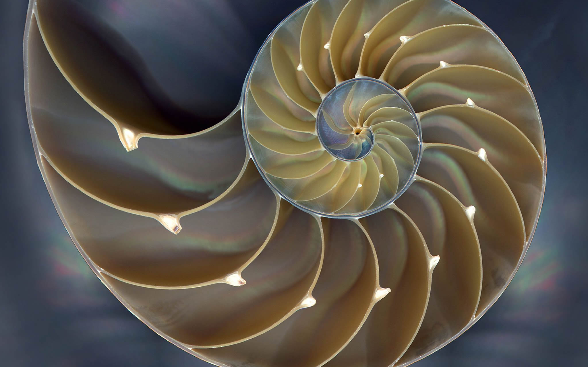 chilly design group | brand. identity. communicated.